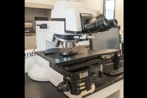 Nikon L200 Eclipse Microscope | CNF Users